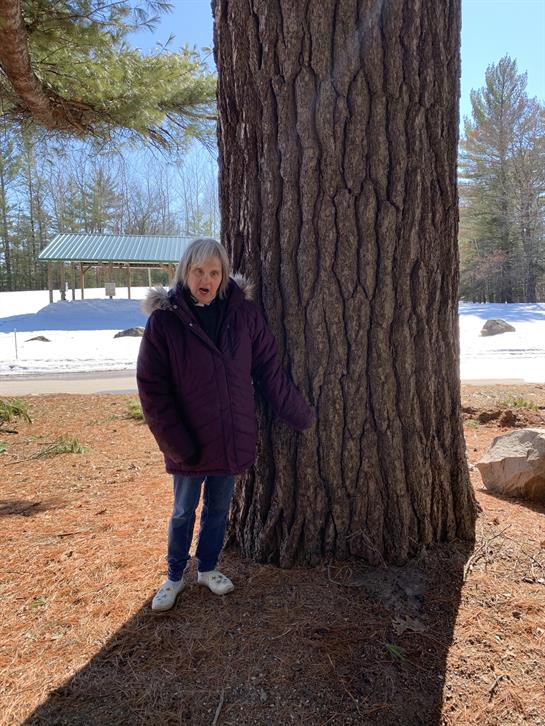 Click here to go to this photo