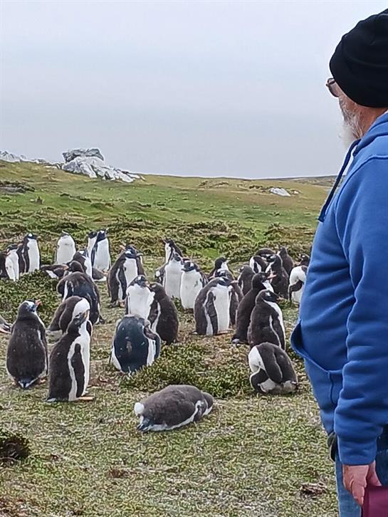 Click here to go to this photo