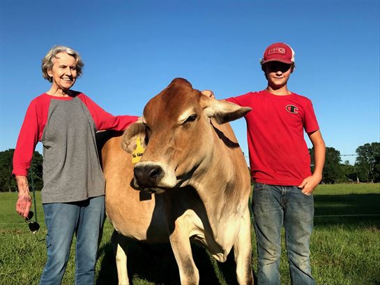 Click here to go to this photo