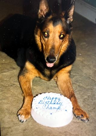 Click here to go to this photo