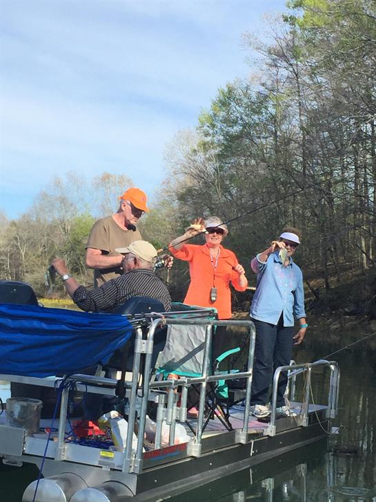 Click here to go to this photo