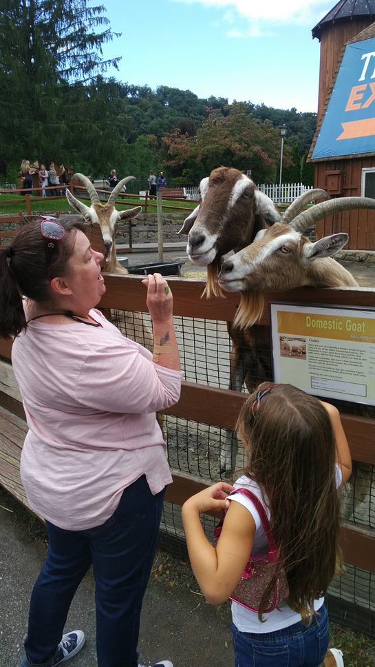 2017 Lehigh Valley Zoo, feeding the goats!