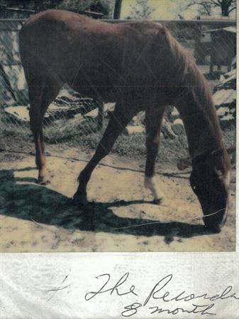 Click here to go to this photo