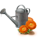 Gardener Virtual Gift