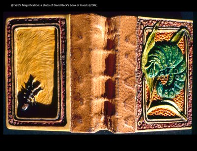 Slight Publications | a Study of David Beck’s Book of Inse… | MagCloud