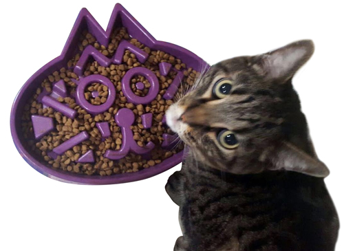 Simply Pets Online Releases High Quality, Eco-Friendly Slow Feed Cat Bowl