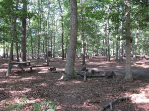 Schiff Scout Reservation