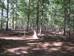 Schiff Scout Reservation