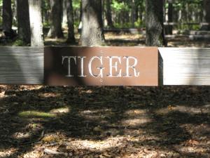 Schiff Scout Reservation