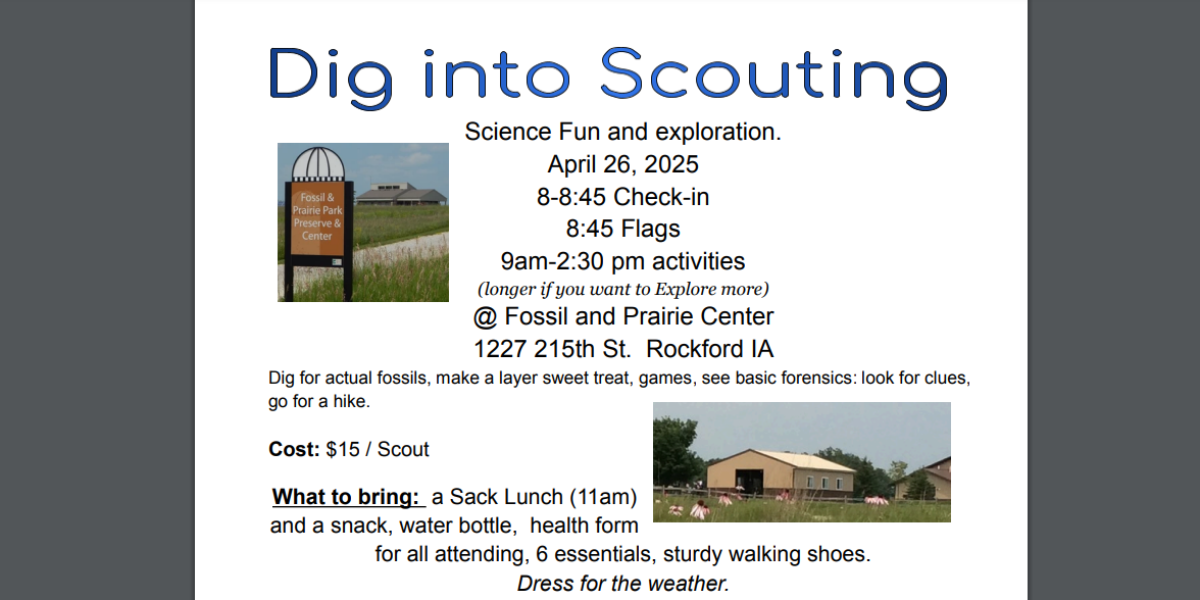 Dig into Scouting Day Camp