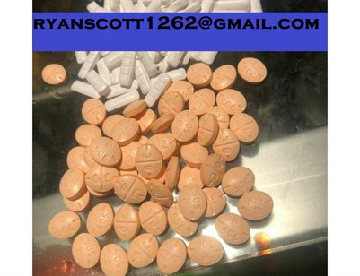 buy dextroamphetamine tablets online | MagCloud