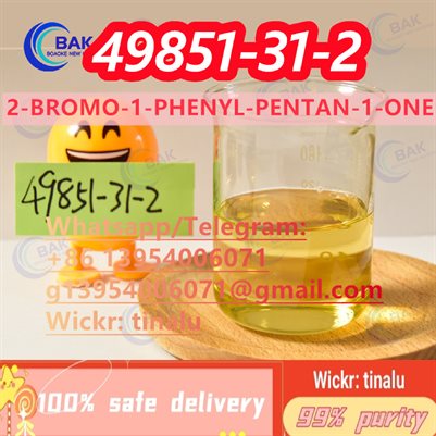CAS 49851-31-2 2-BROMO-1-PHENYL-PENT… | MagCloud