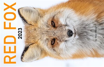 Collection 2023 Calendars | MagCloud