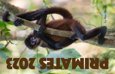 2023 Calendars | 2023 Primates Calendar | MagCloud