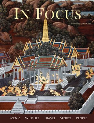 In Focus | In Focus March 2012 (Premiere Issue) | MagCloud