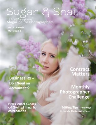 SnS Vol 31 Pastels May 2023 | MagCloud