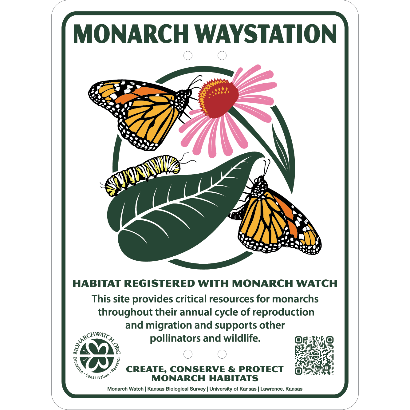 Monarch Rearing Kit | Monarch Watch