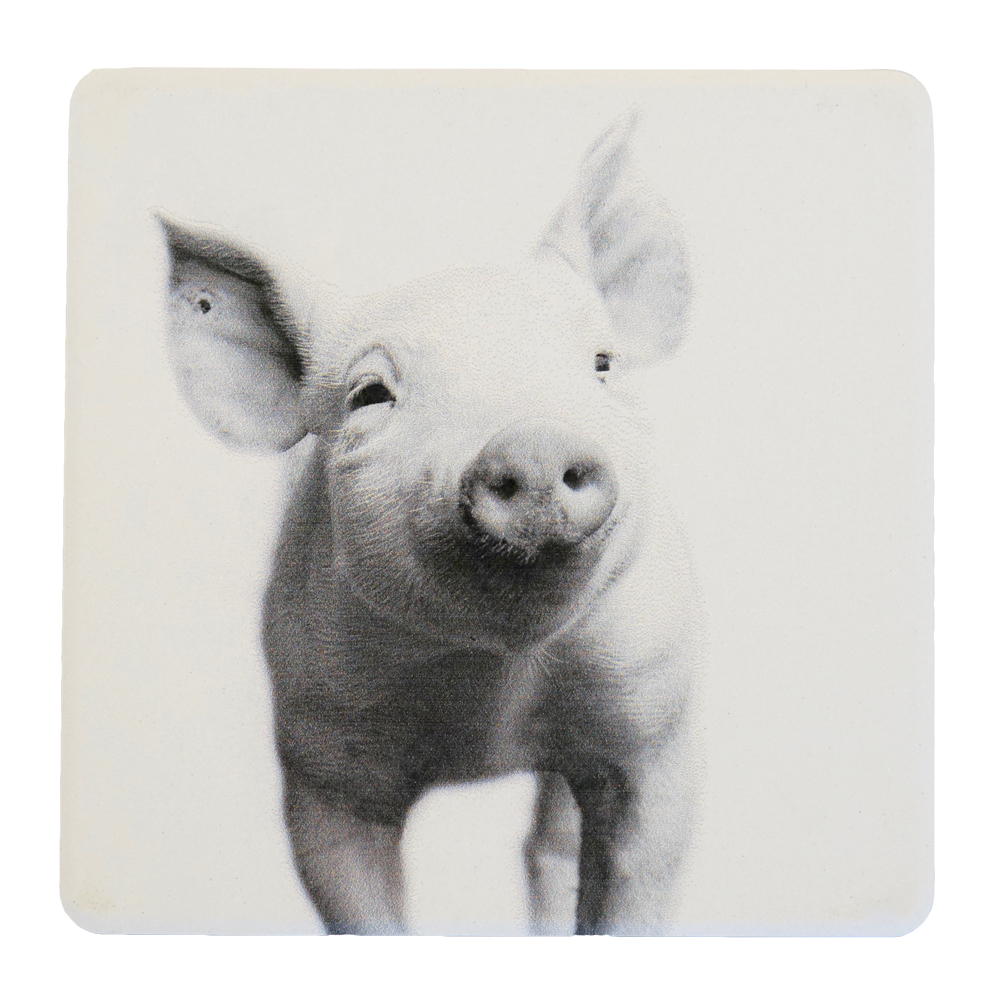 Farm Sanctuary Coaster Set - 200484 | Farm Sanctuary