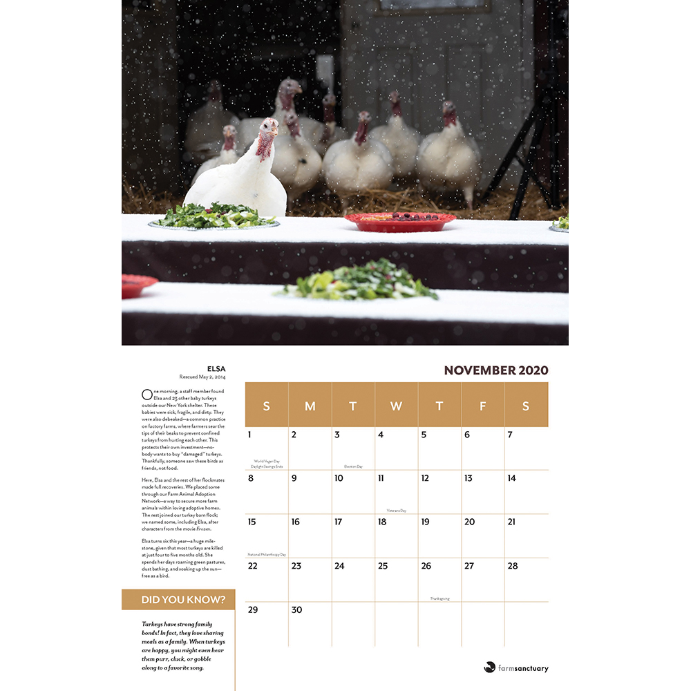 2020 Rescue & Refuge Calendar - 200590 | Farm Sanctuary