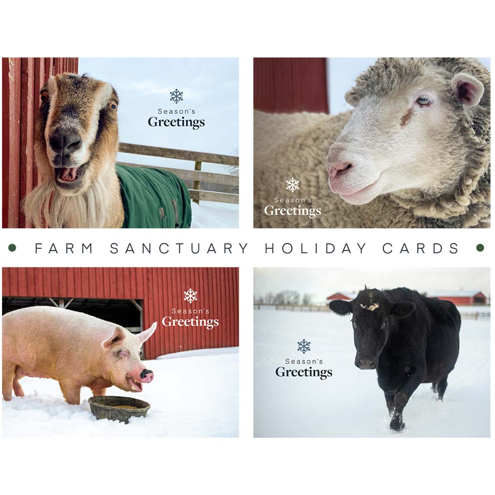 Seasonal: Calendars, Ornaments, Holiday | Farm Sanctuary