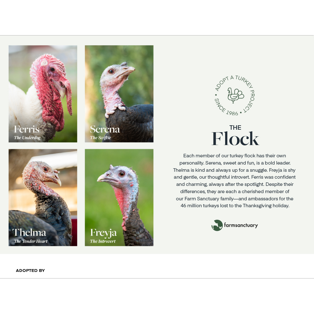 Adopt the Flock - FLOCK | Farm Sanctuary