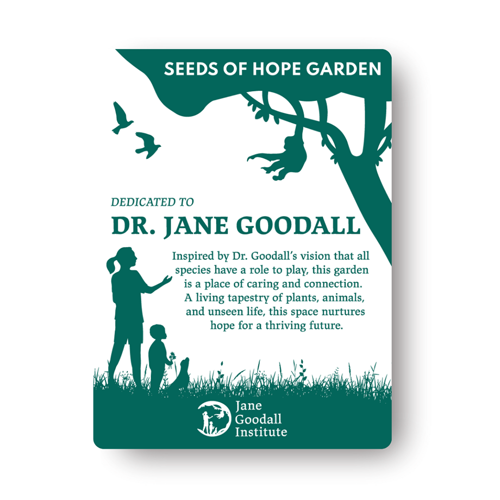 Jane Goodall Institute Seeds of Hope Sign - #JGI371 | the Jane Goodall ...