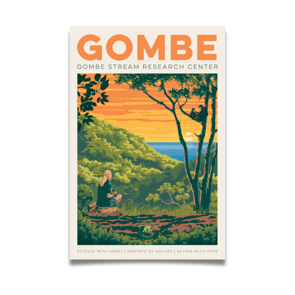 Vintage Style Jane Goodall Gombe Stream Research Center Poster ...