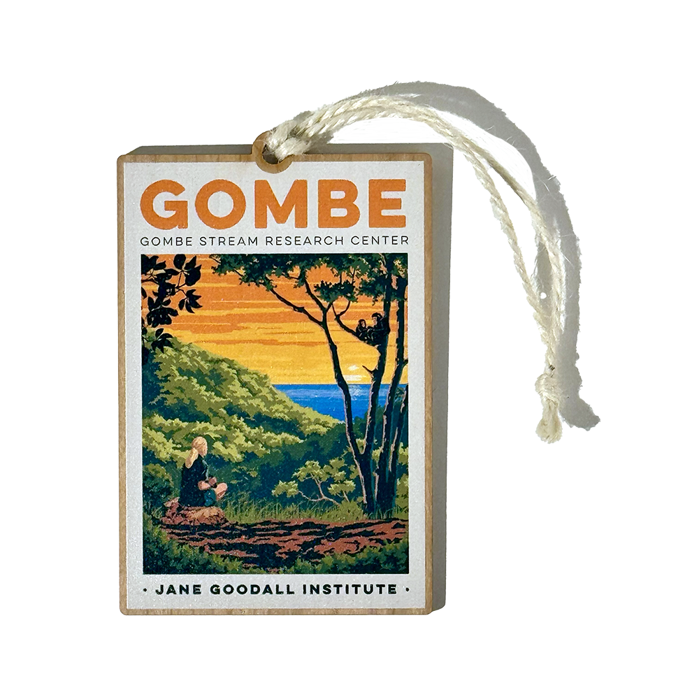 Vintage Gombe Stream Research Center Collection | the Jane Goodall ...