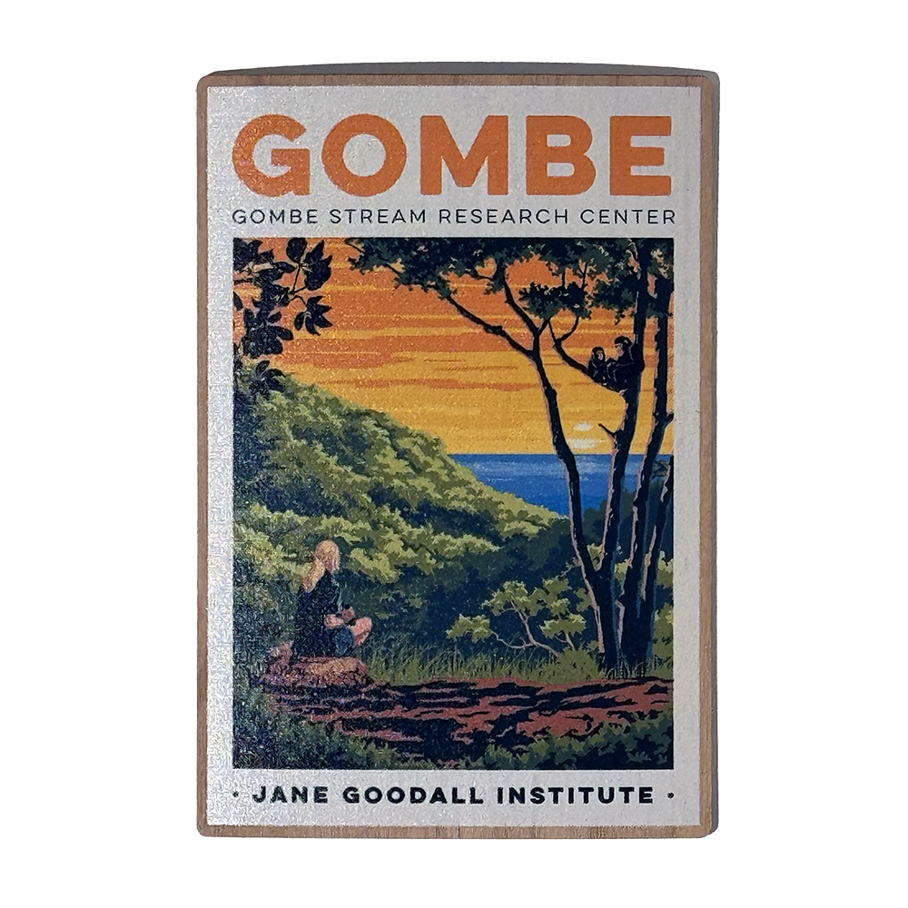 Vintage Jane Goodall Gombe Stream Research Center Wooden Sticker - # ...