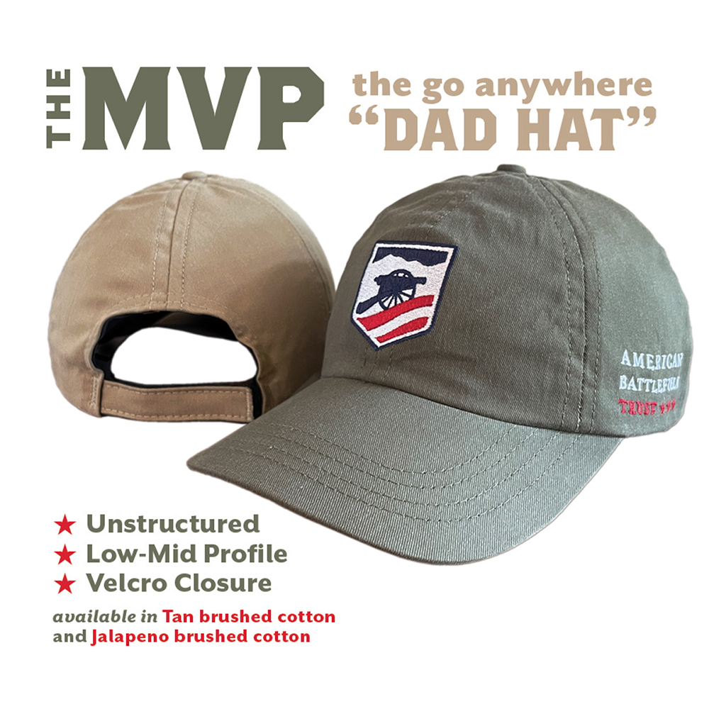 MVP Baseball Cap - Tan Brushed Cotton - ABT193-TAN | American ...