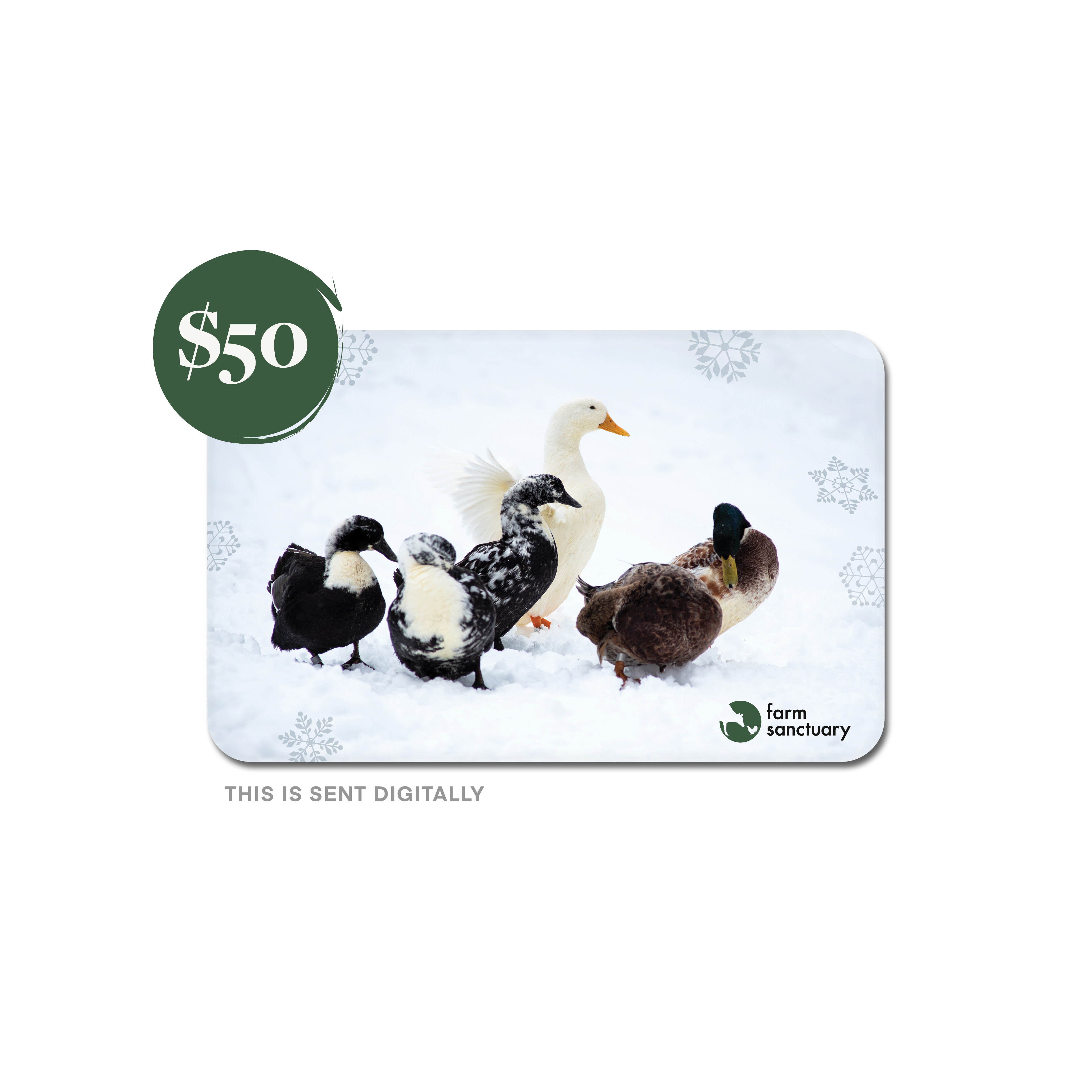Farm Sanctuary eGift Card - $50.00 - eGift50 | Farm Sanctuary