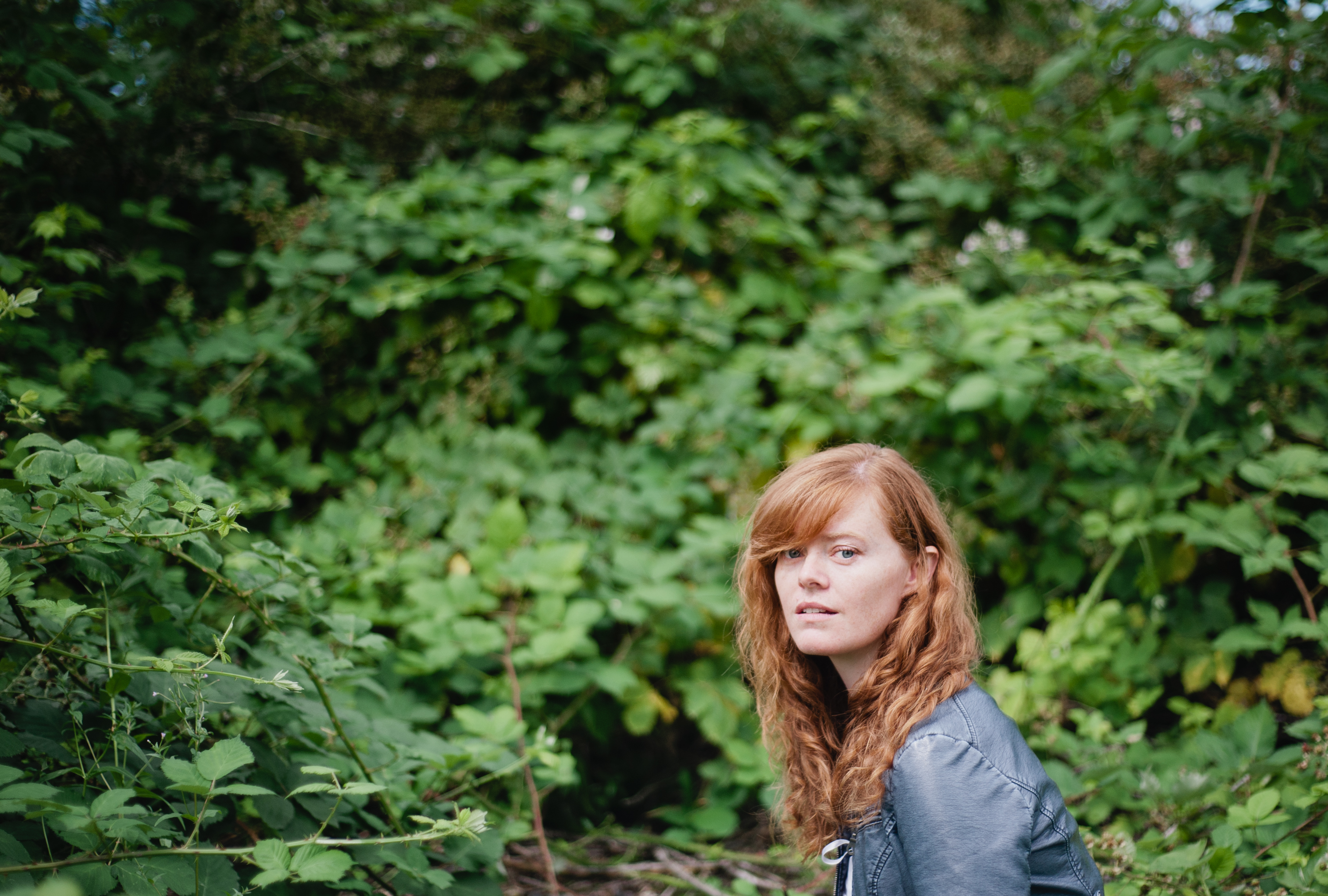 Dispatch Preview - StoryAmp