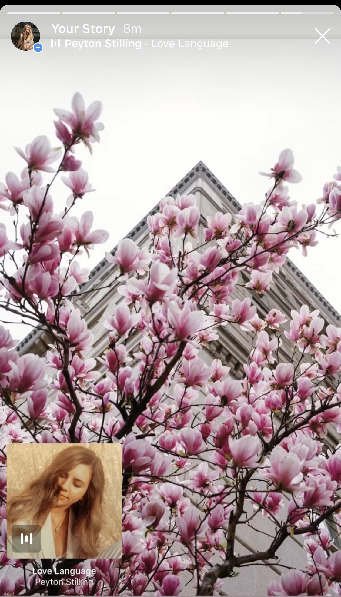 Baillie Riddell Influencer Profile | SubmitHub