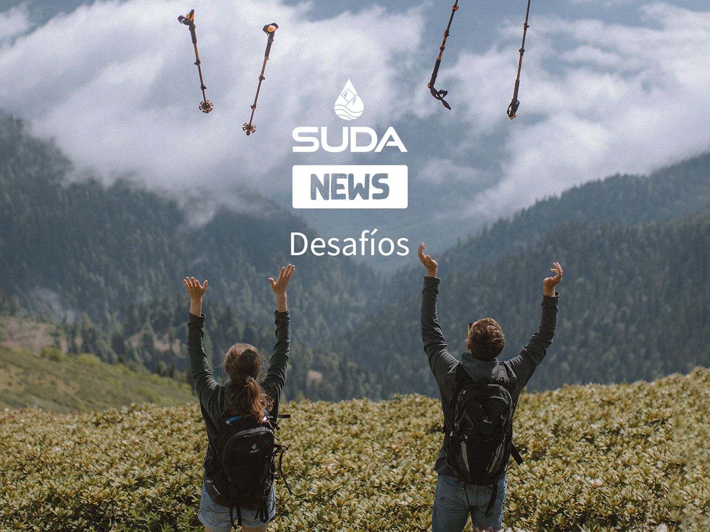 Desafíos Activos Diciembre 2021