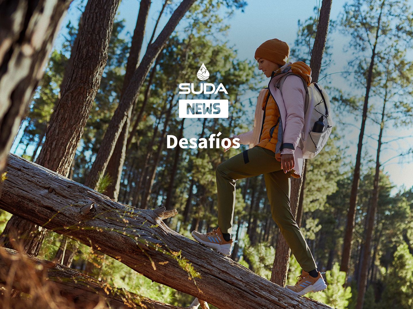 SUDA News Julio: Desafíos Activos
