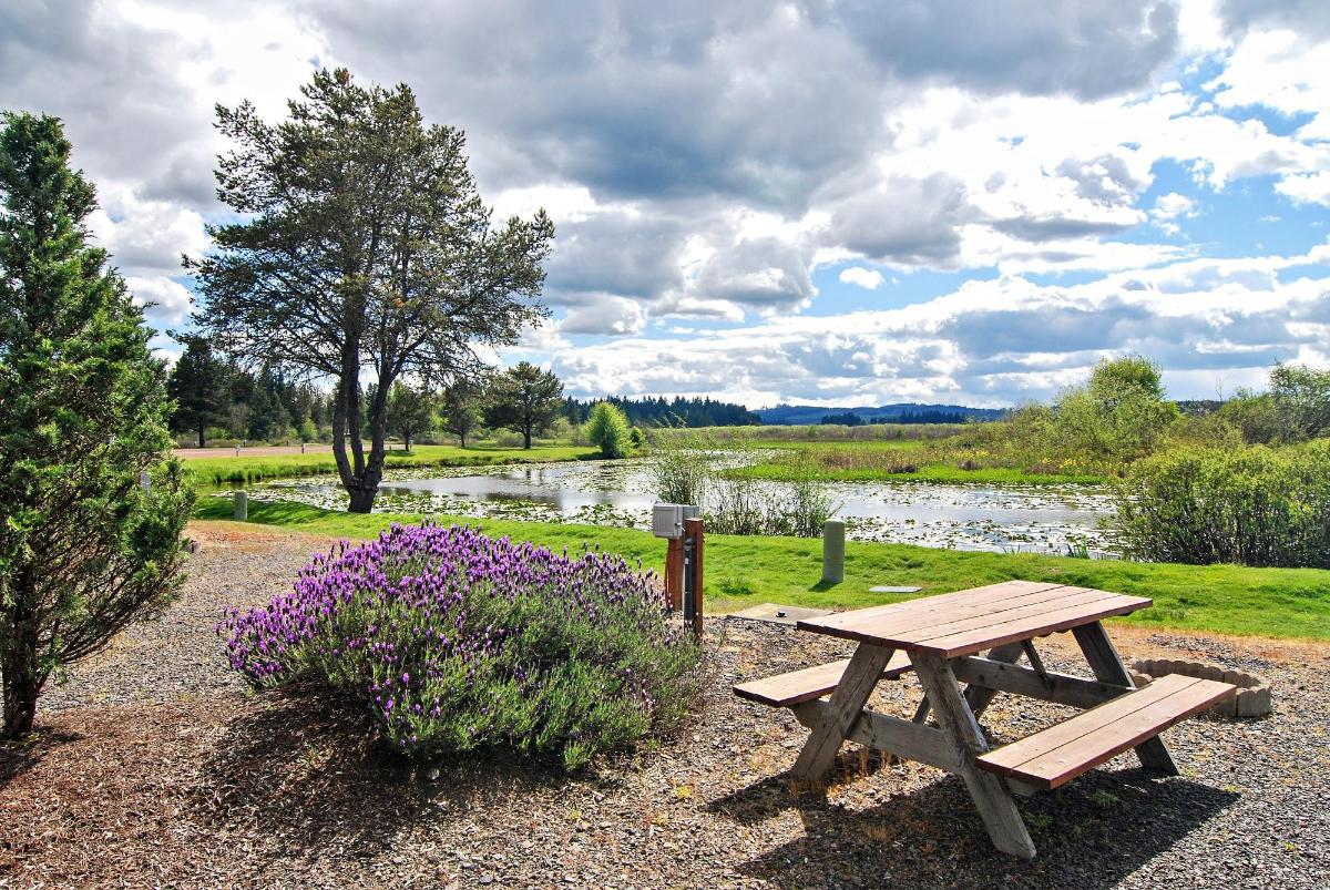 CampLife | Life is better outside