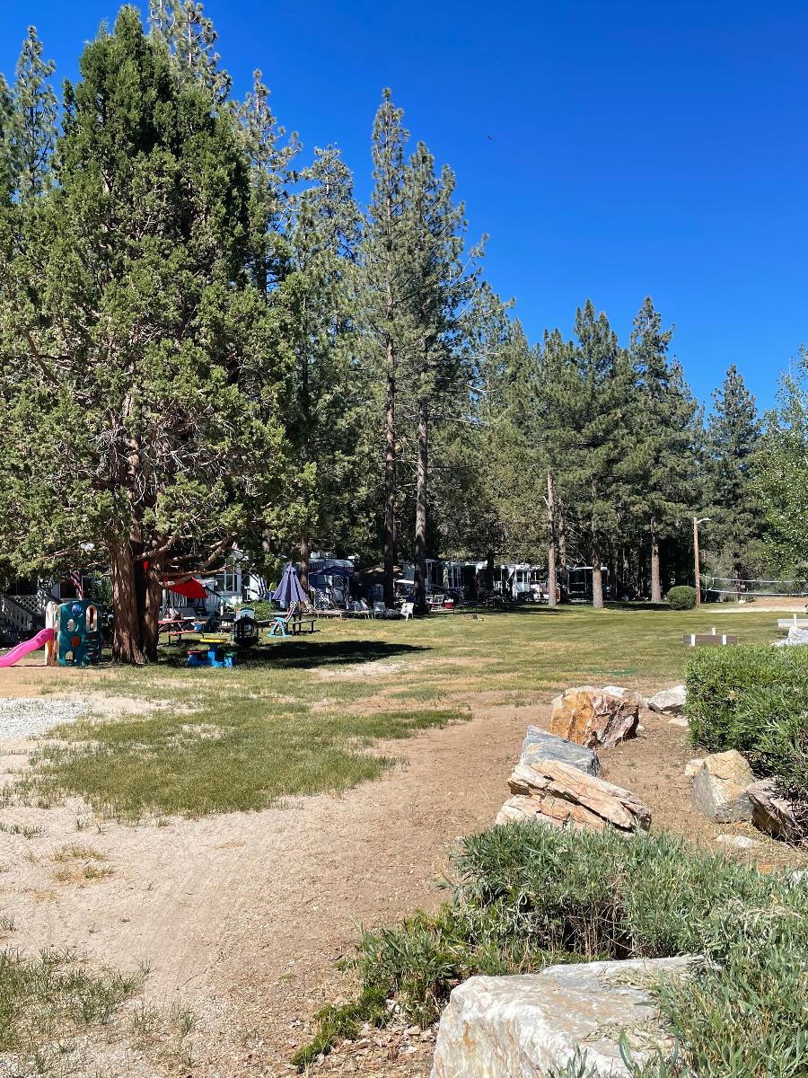 CampLife | Life is better outside