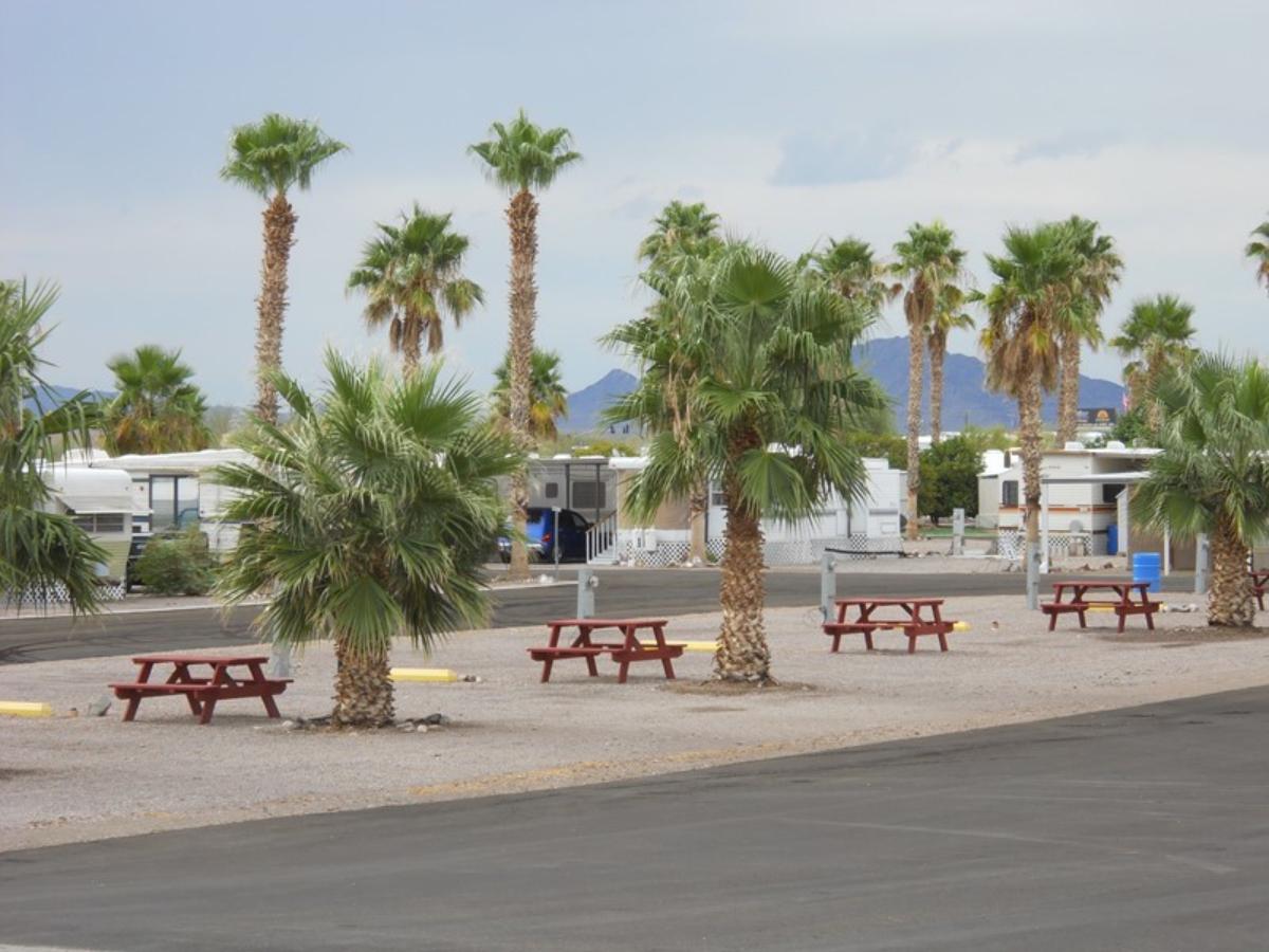 CampLife | Life is better outside