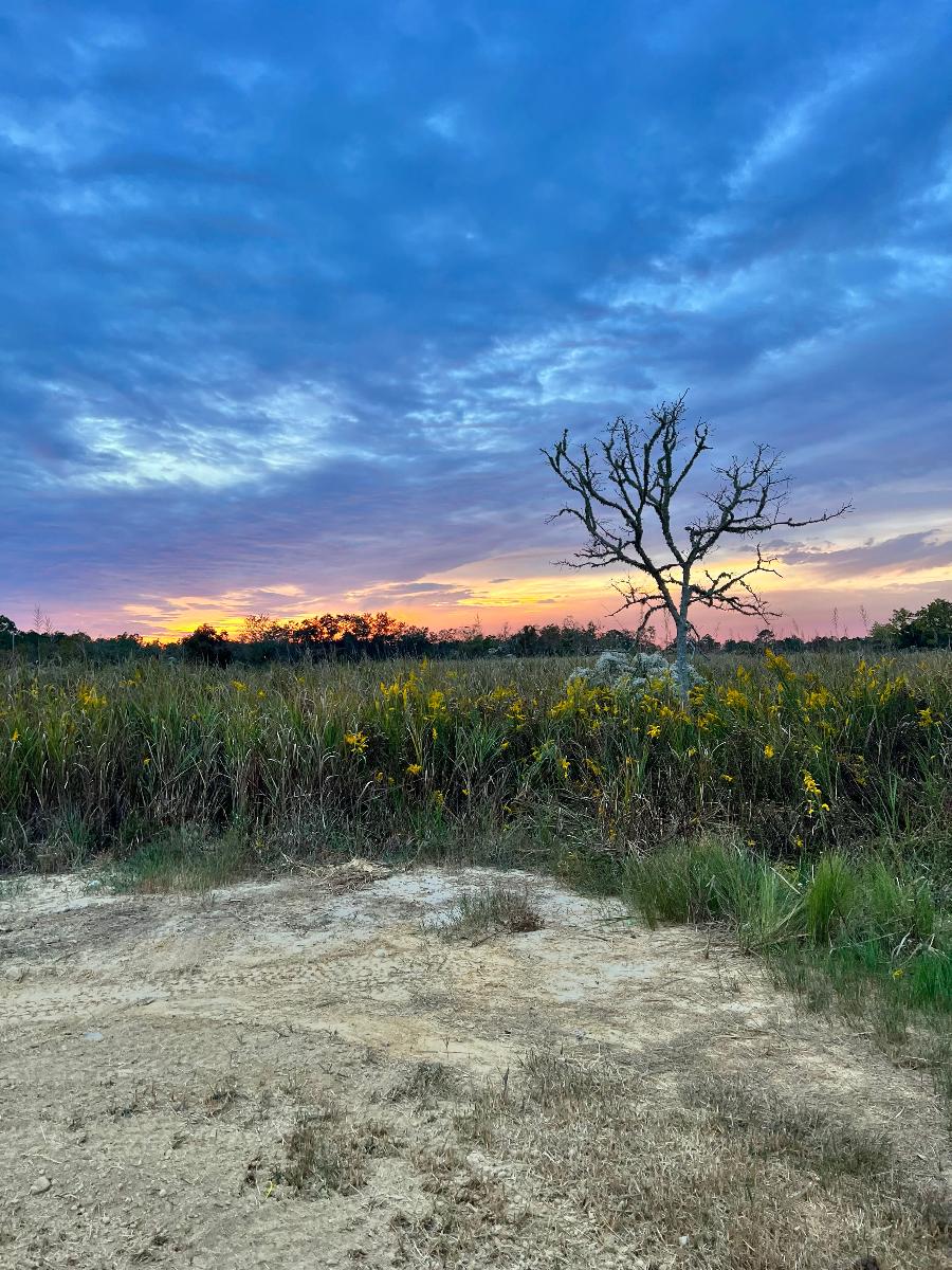 CampLife | Life is better outside