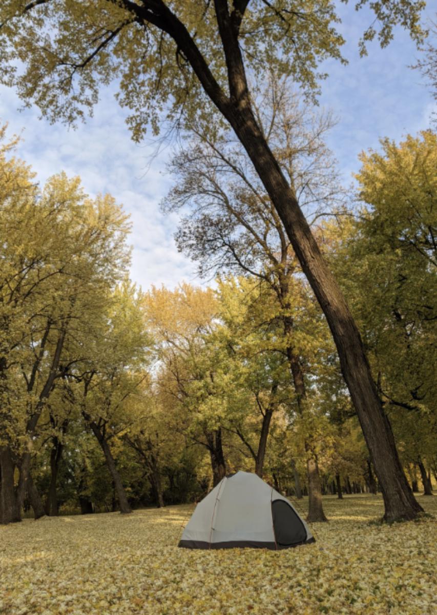 CampLife | Life is better outside