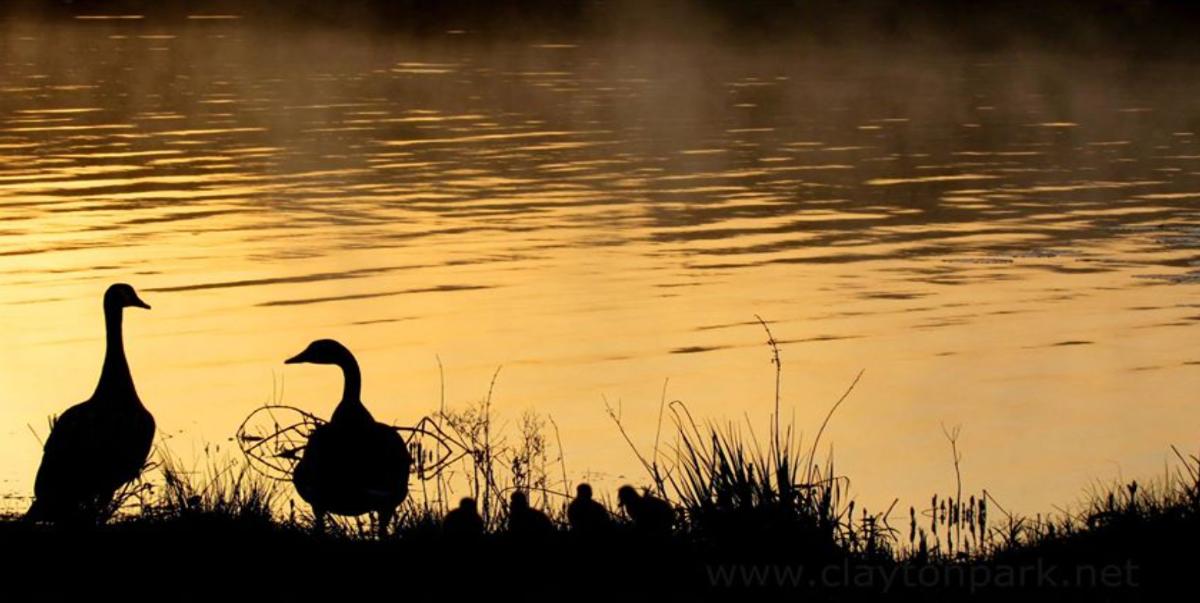 CampLife | Life is better outside