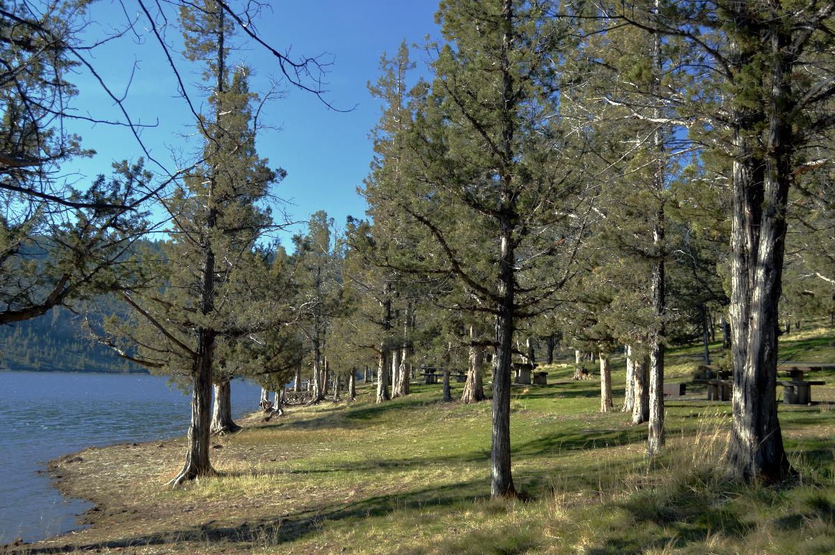 Ochoco Lake County Park - Online Reservations