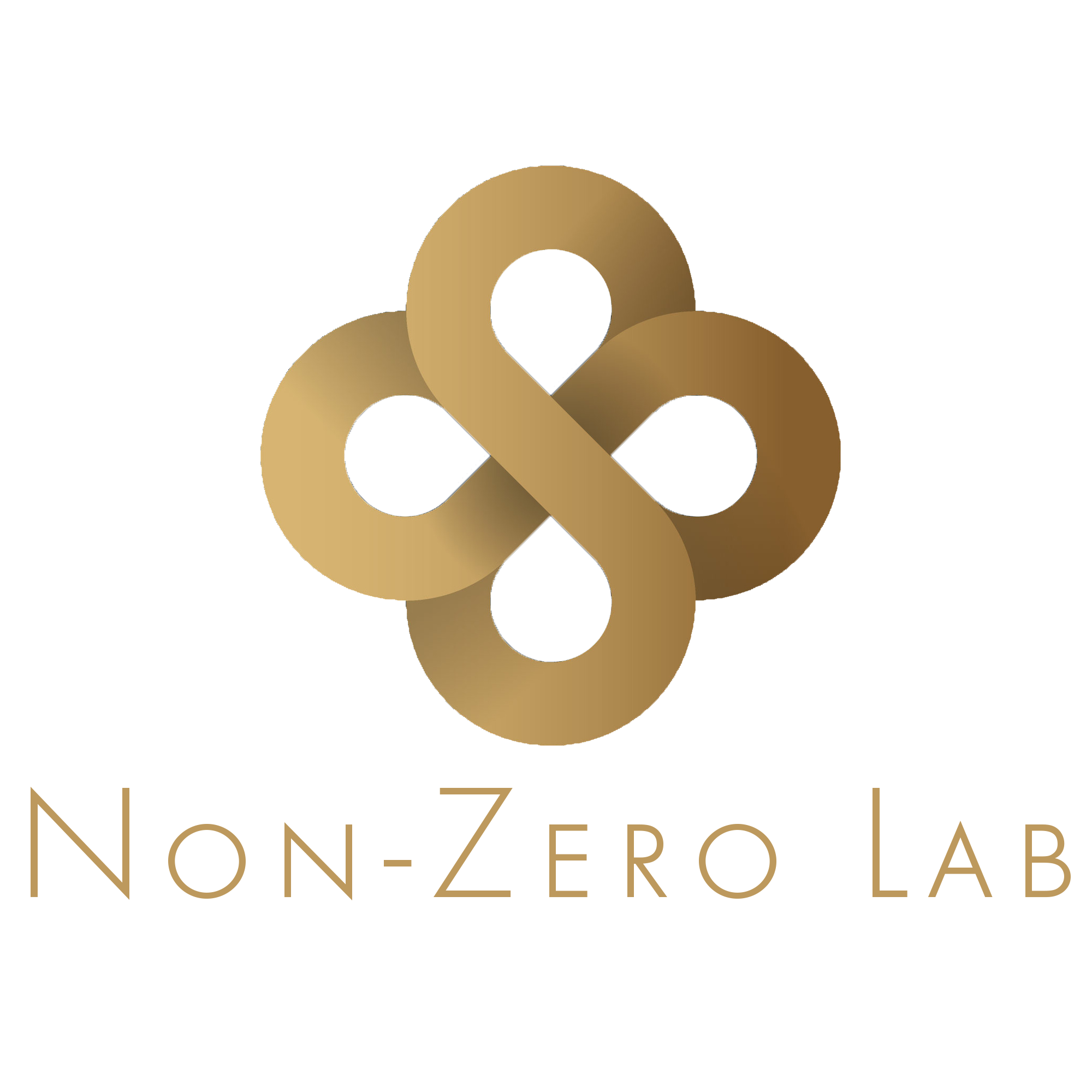 Non-Zero Lab - Website