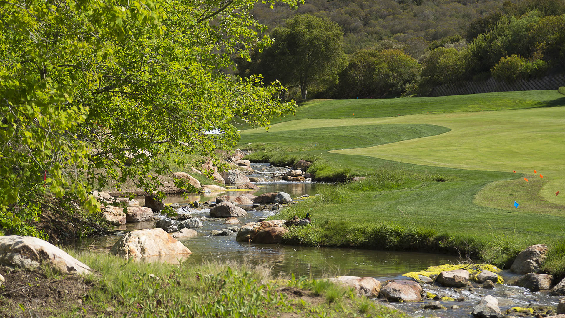 Shady Canyon - SWA Group