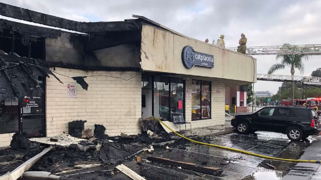 LAFD: 17 cats dead after strip mall fire in Los Angeles destroys pet ...