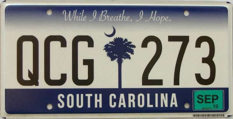 2019 South Carolina (#10271) for sale - The Tag Dr. Store