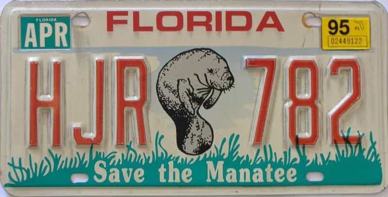 1995 Florida (#10376) for sale