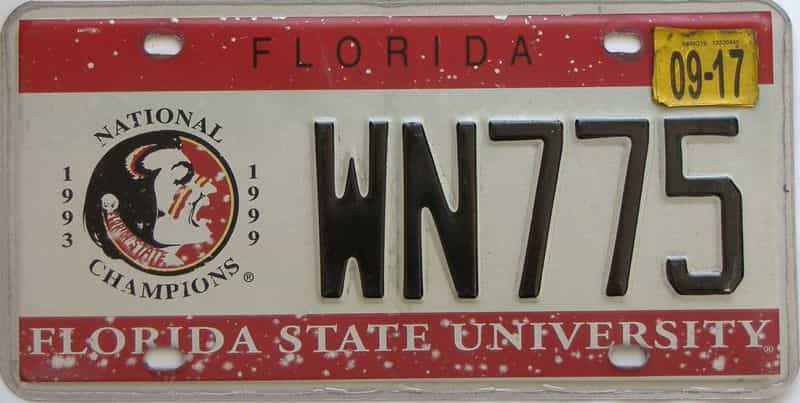 2017 Florida (#10889) for sale - The Tag Dr. Store