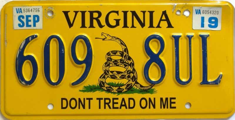 2019 Virginia (Single) (#12447) for sale