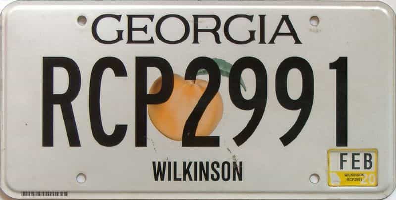 2020 Georgia (#13873) for sale